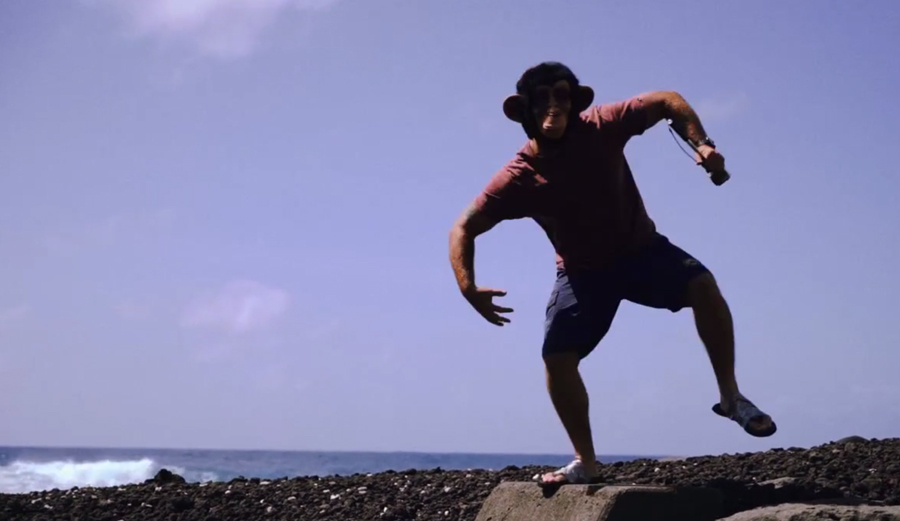 Monkey Sea, Monkey Doo Doo | The Inertia