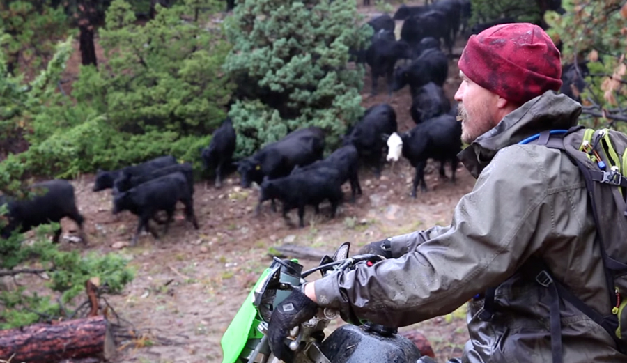 Pro Snowboarder/Part-Time Cowboy Mark Carter Lives the Good Life | The ...