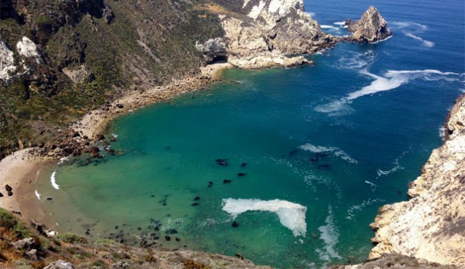 8 Reasons Why Santa Cruz is an Awesome Place to Live | The Inertia