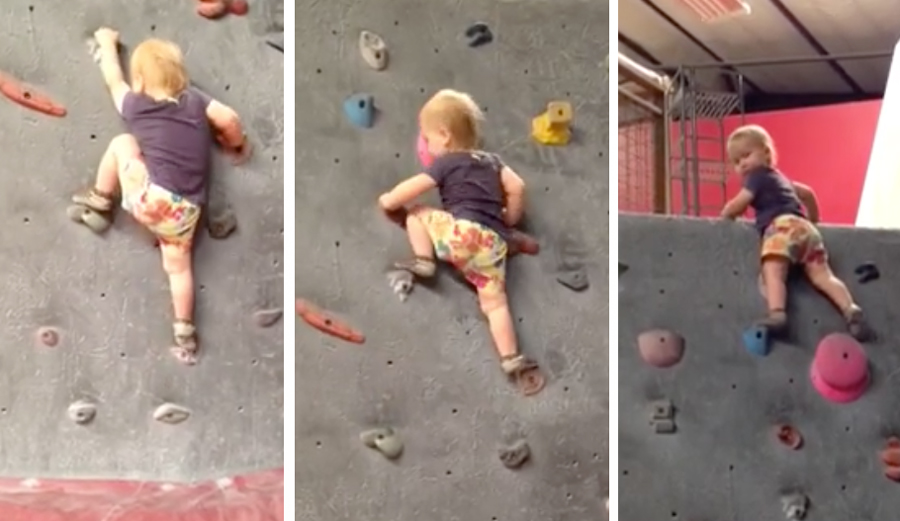 This Baby Climbs Better Than You | The Inertia