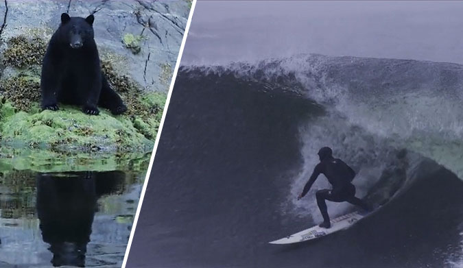 Bitter Cold: A Canadian Short | The Inertia