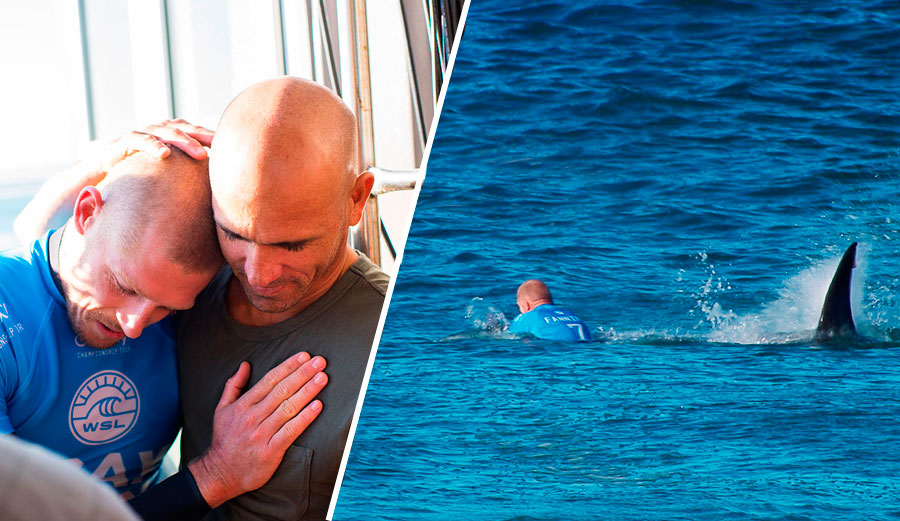 Images From The Shark Attack Heard 'Round The World | The Inertia