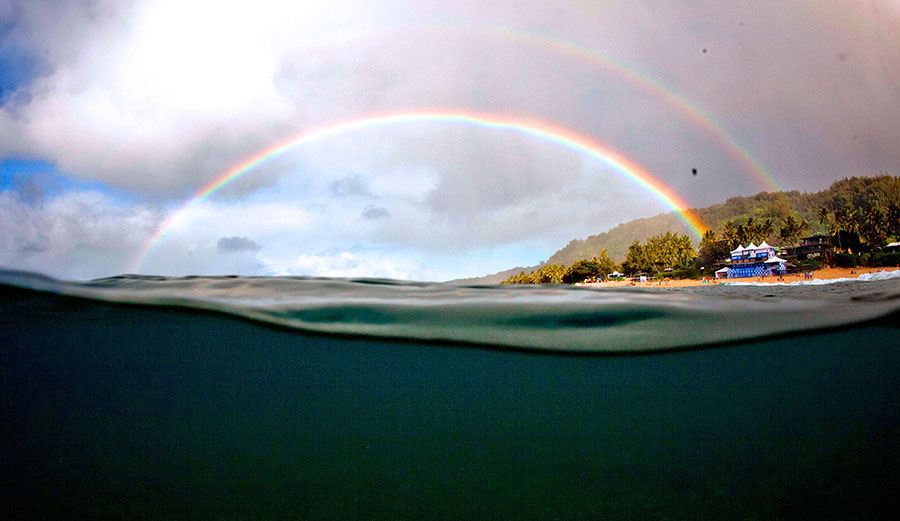 10 Awesome Images From Just Below the Surface | The Inertia