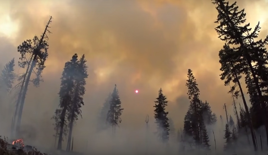 Homage to Firefighters Filmed a Day Before 3 Trapped and Killed in ...