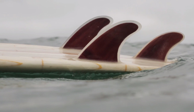 Everybody Run Out and Get an Agave Surfboard Now | The Inertia