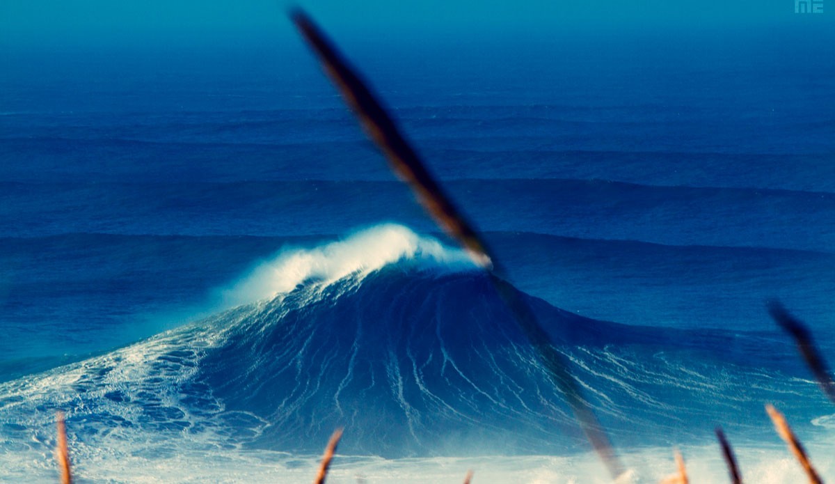 The Inertia's 100 Best Photos Over the Past 5 Years | The Inertia