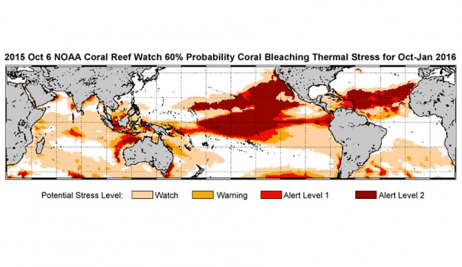 Global Warming is Bleaching Hawaii's Coral Reef | The Inertia