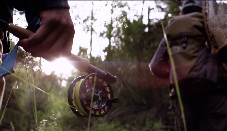 This is Where I Roam: Every Eddy and Elbow, Backroad and Backwater ...