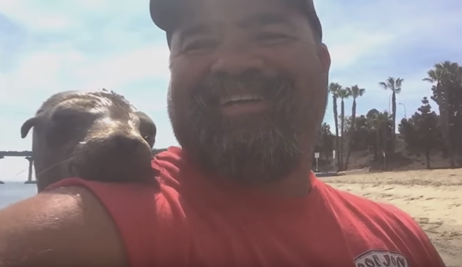 Seal Hops Aboard Man's Boat, Cuddles Him Profusely | The Inertia