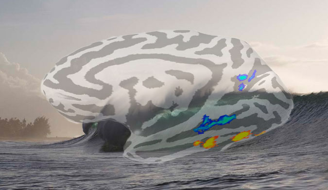 The Neuroscience of Surf | The Inertia