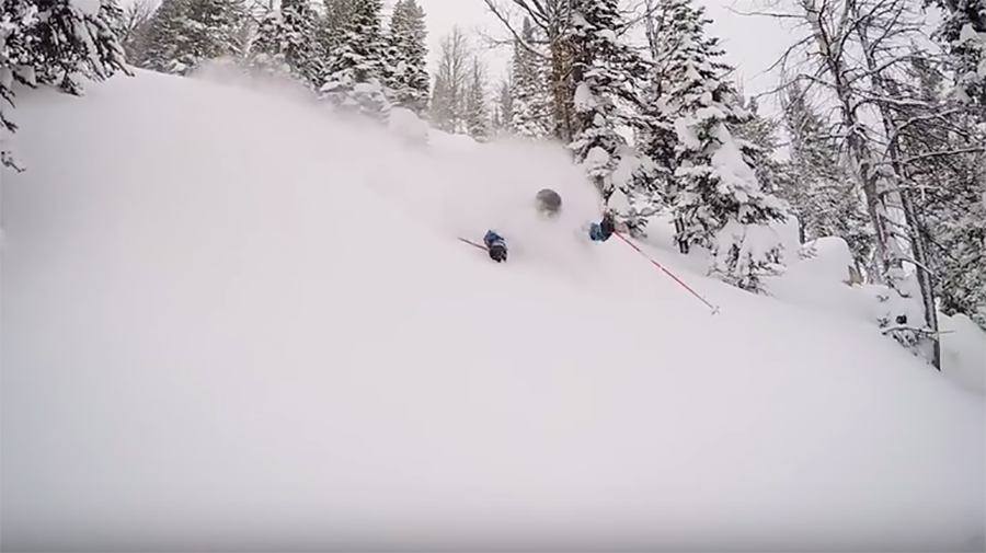 Powder and the Pure Joy of Light, Dry Snow | The Inertia