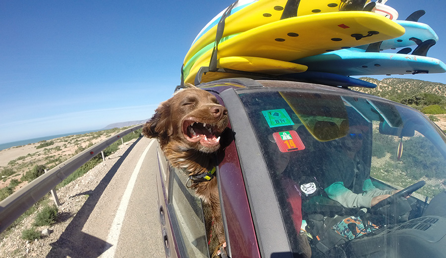 Some Thoughtful Tips for Finding the Ultimate Travel Buddy | The Inertia