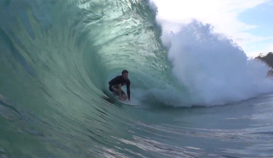 Utterly Perfect Snapper: Best Way to Start the New Year | The Inertia