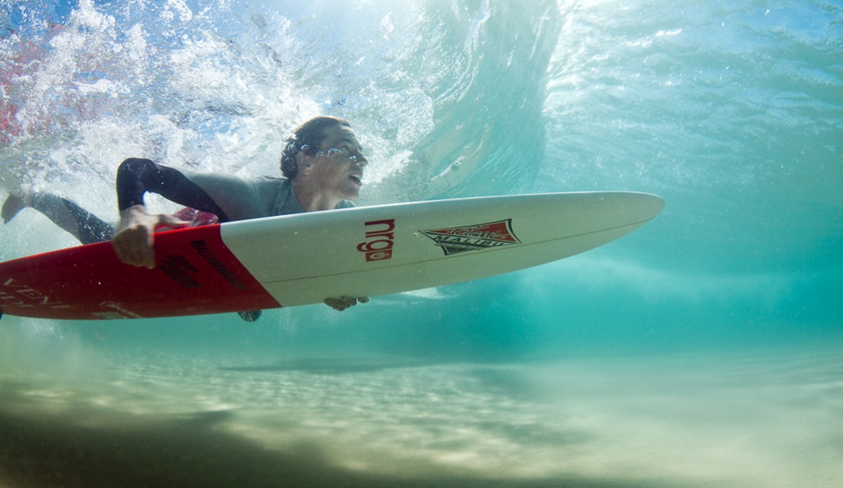 20 Photos From Beneath the Surface: “This is How the Ocean Watches Us ...