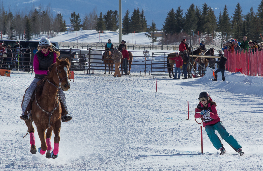 Skijoring is the Greatest Winter Sport You've Never Heard Of | The Inertia