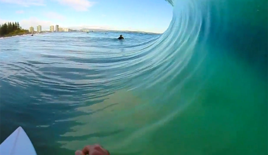 You've Never Seen Snapper Quite Like This | The Inertia