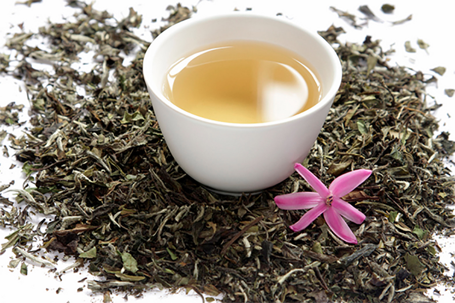 5 Teas That Can Improve Your Health | The Inertia