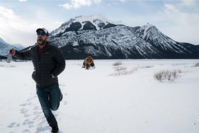 Which Wild Animal is Statistically Most Likely to Attack You? | The Inertia