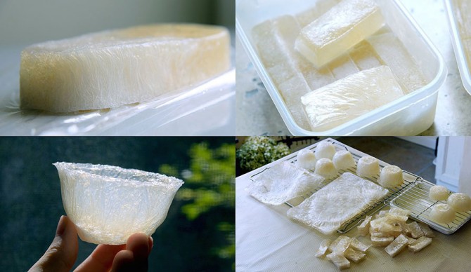 Could This New Material Made From Seaweed be the Future of Plastic ...