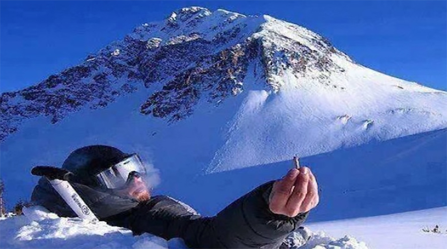 Shred Statement: 420, Holy Bowly and Snowboarding Women Mooning Us are ...