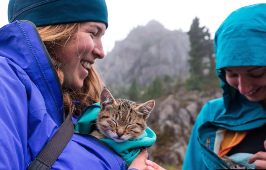Two Women Rescue Stray Cats; Take Them on Outdoor Adventures You'd Be ...