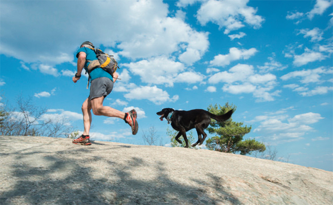 4 Important Hints for Trail Running with Your Dog | The Inertia