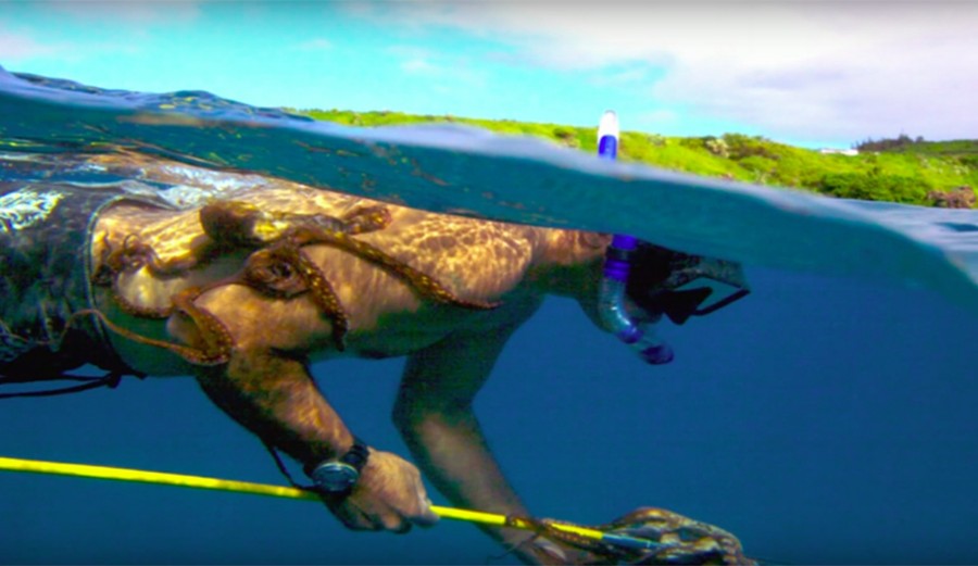 Lessons from the Water: Archie Kalepa | The Inertia