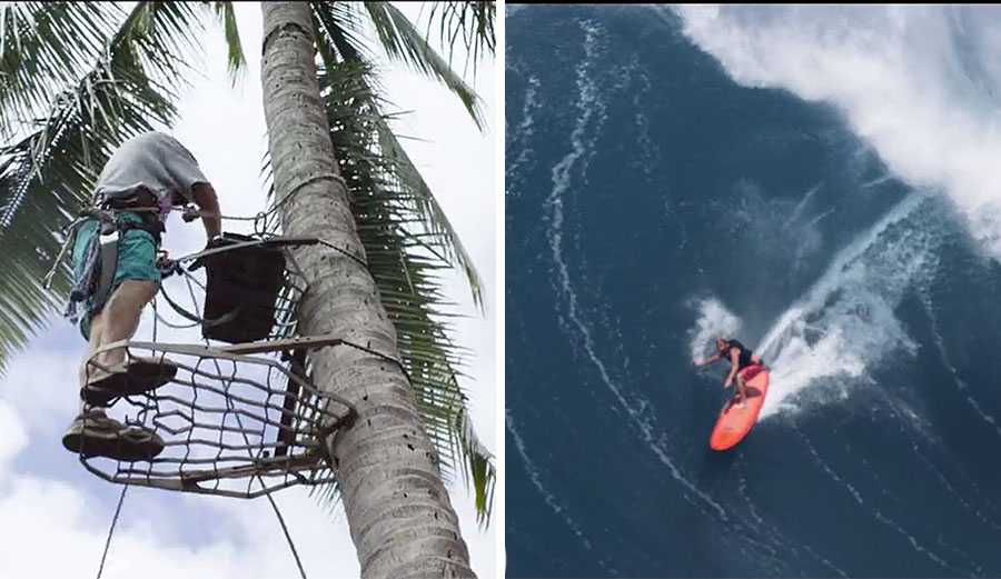 Coconut Willie: Jaws Charger | The Inertia