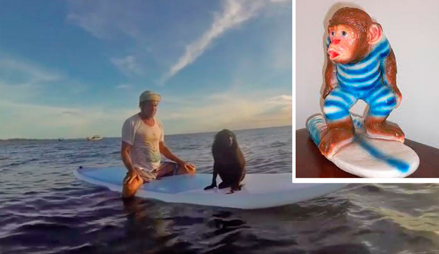 Meet Beaker, A Real-Life Surfing Monkey | The Inertia