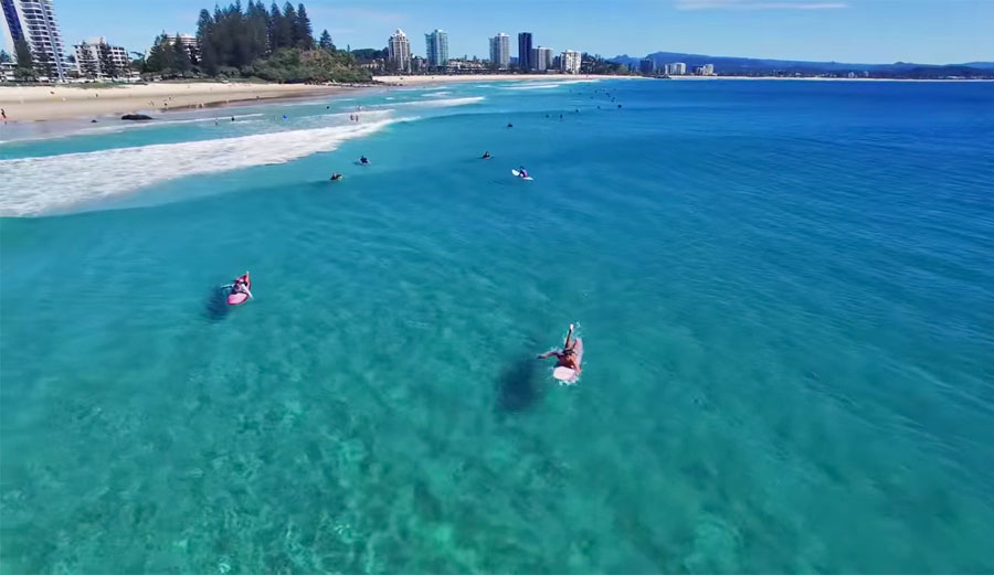 Amazing Logging in the Beautiful Crystal Clear Waters of Snapper Rocks ...