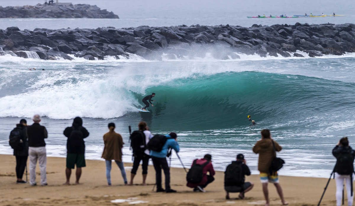 Sharks, Dead Seals, and All-Time Wedge | The Inertia