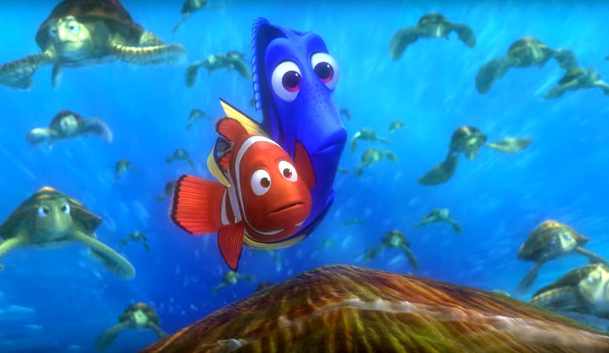 Don’t Find Dory a New Home! | The Inertia