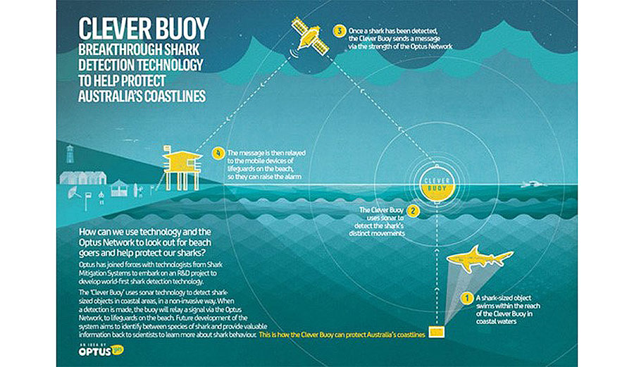 This is “Clever Buoy,” the Tech Providing Shark Protection at the J-Bay ...