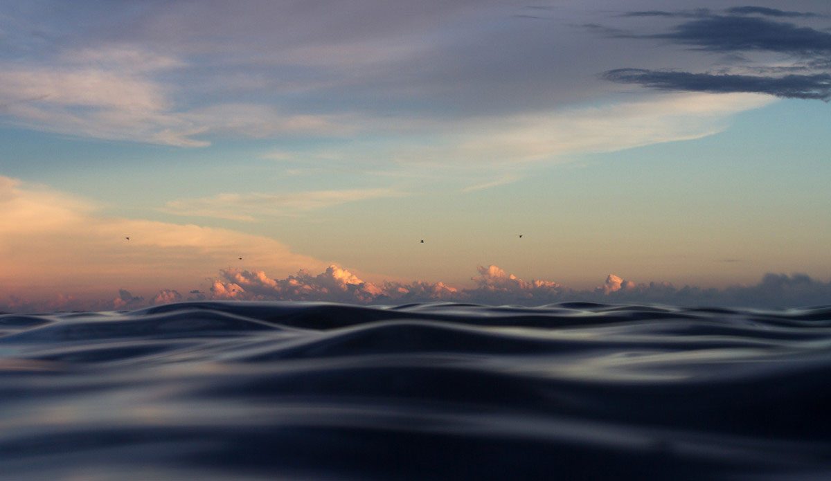 Photography Aimed to Clean Up the World's Oceans One Image at a Time ...