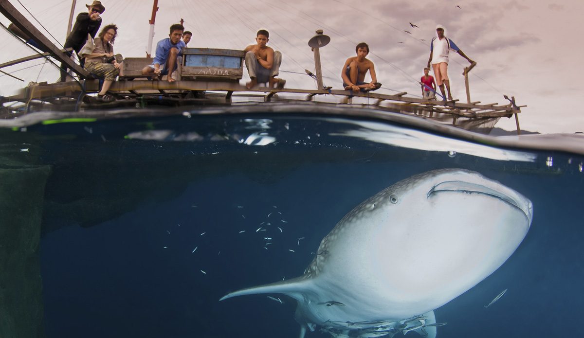 This Underwater Scuba Diving Story is the Best Use of Virtual Reality ...