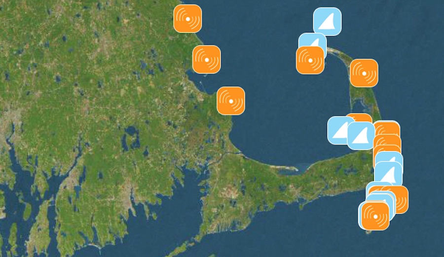 This App Is Basically Waze for Shark Sightings | The Inertia