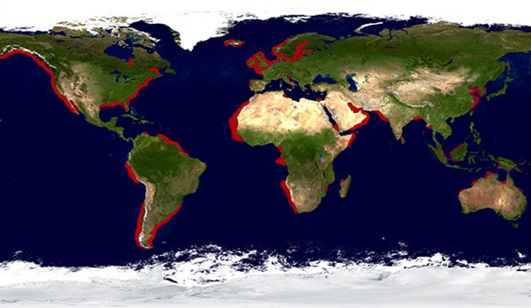 The Science of Upwelling: How the Ocean Surface "Randomly" Cools Off ...