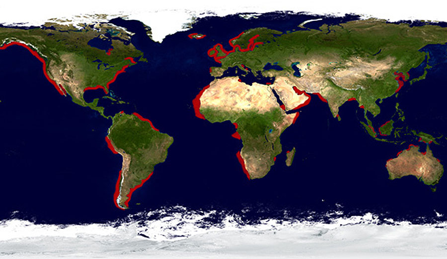 The Science of Upwelling: How the Ocean Surface "Randomly" Cools Off ...