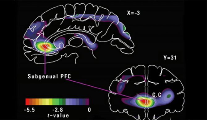 Proof Why Being in Nature Makes You Feel Good | The Inertia