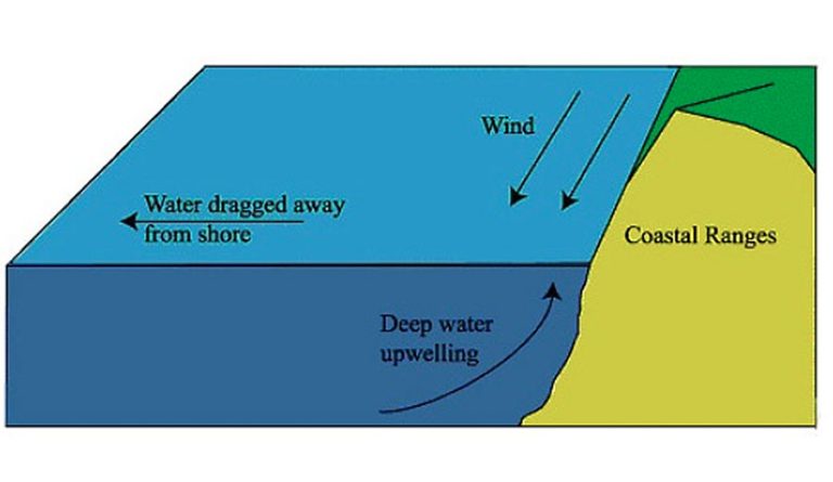 The Science of Upwelling: How the Ocean Surface "Randomly" Cools Off ...