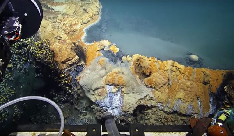 Underwater Pool Kills Anything to Swim In it | The Inertia