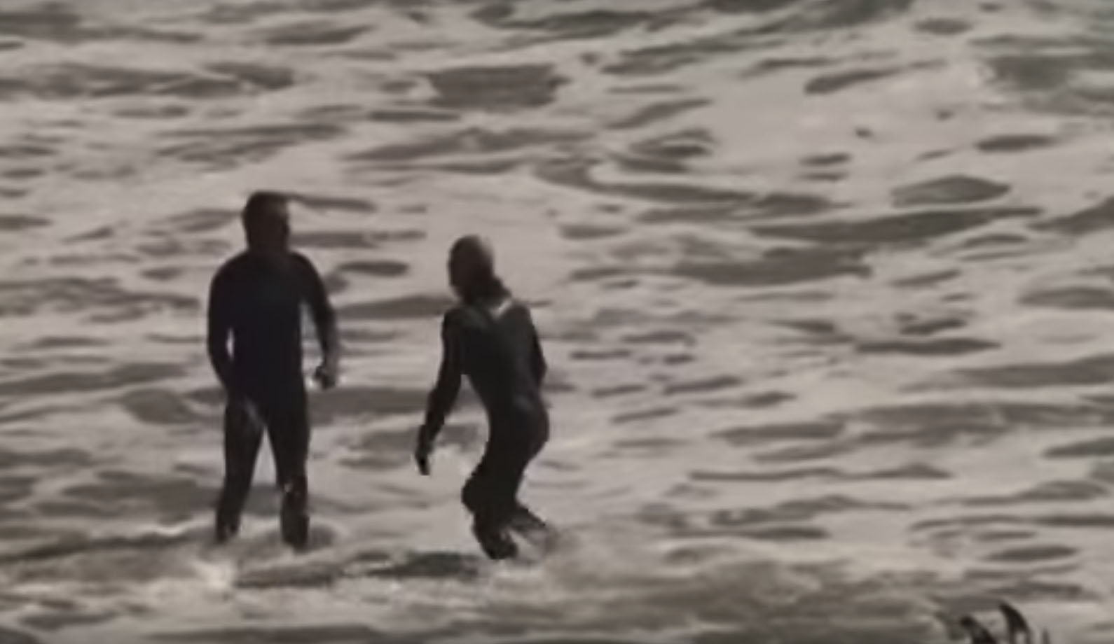 This Kiwi Psychologist Is Getting a PhD in Surf Rage | The Inertia