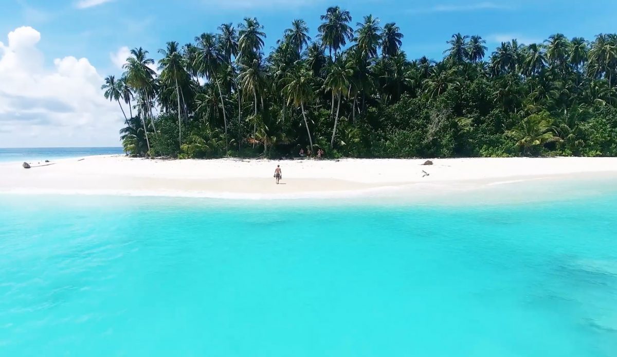 This Is the Story of Johnny Jungle: One of the World's Best Surf ...