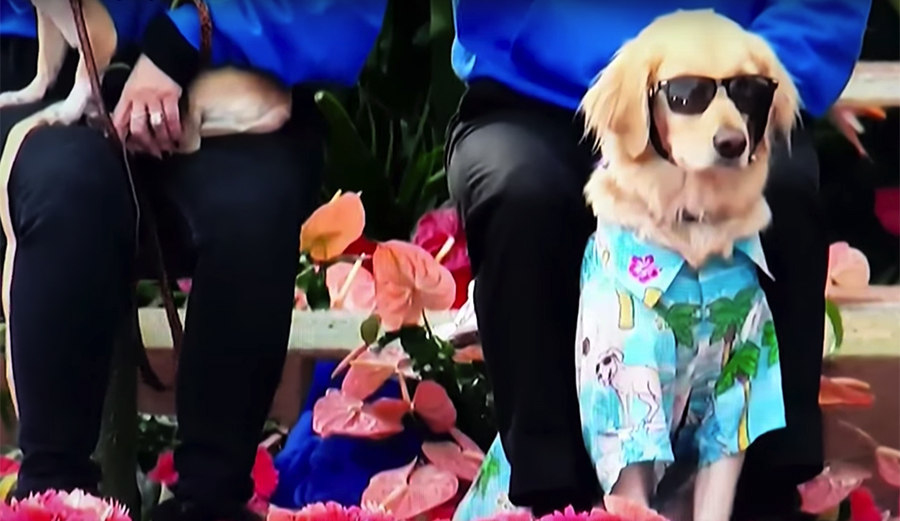 This 148,000 lb. Rose Parade Float Set a World Record and It's a ...