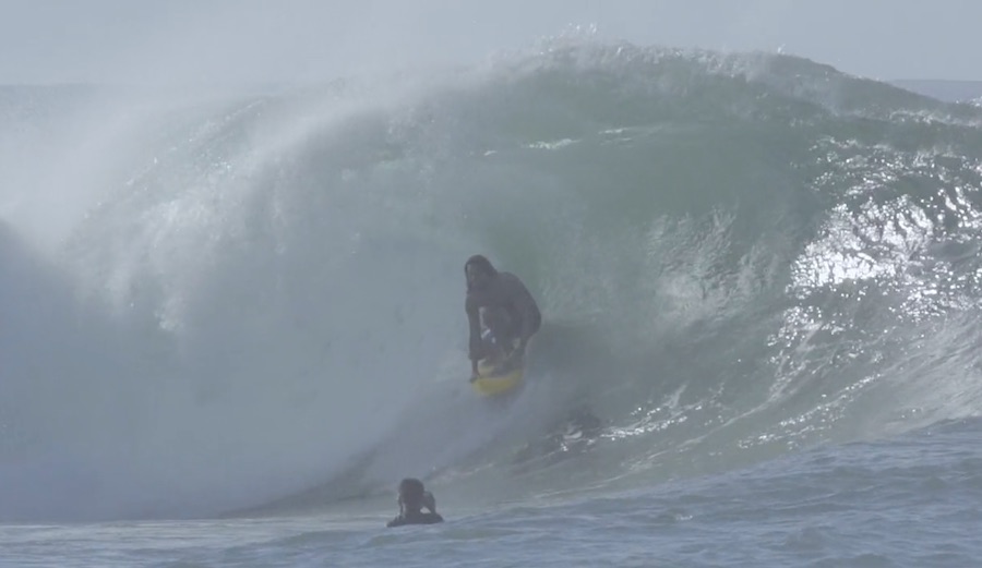 Bonzers Are Really Really Fun | The Inertia