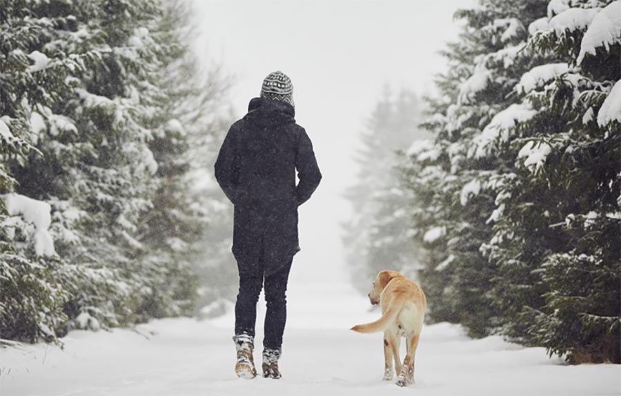 4 Health Benefits of Winter Walks | The Inertia