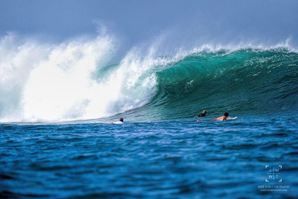 What One Amazing Wave (and Wipeout) Taught Me About Business and Life ...