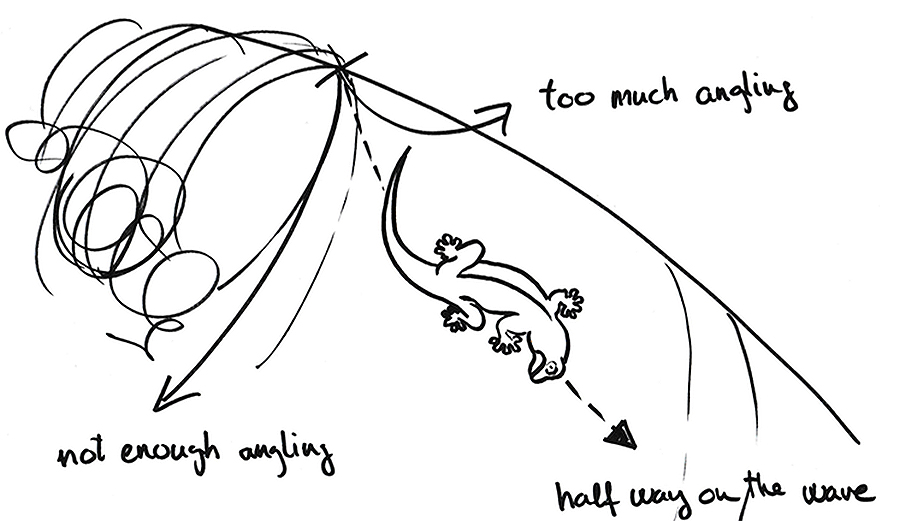 How the Lizard Drill Will Help You Catch More Waves | The Inertia