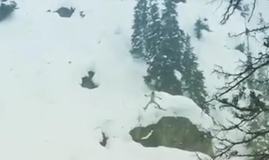 Hank Bilous Misses Finals of Freeride Comp and Poaches the Heat Naked ...