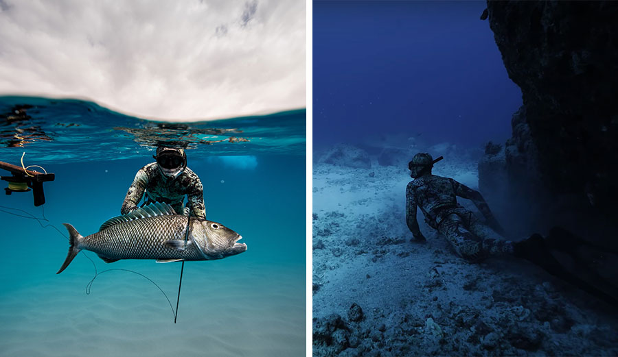 Mark Healey Is Taking Back the Term "Waterman" | The Inertia